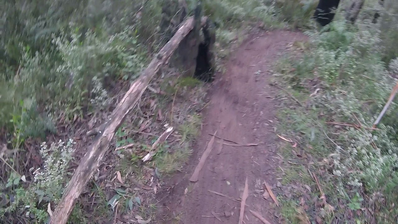 13/06/20, Silvan, Downhill Track #4, MTB, Crash at the end. - YouTube