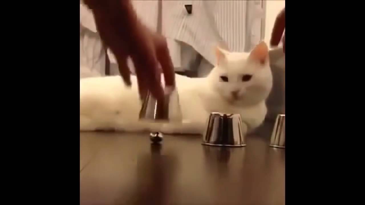 Winimage Keygen Any Version + Source Code [Winimage] - YouTube