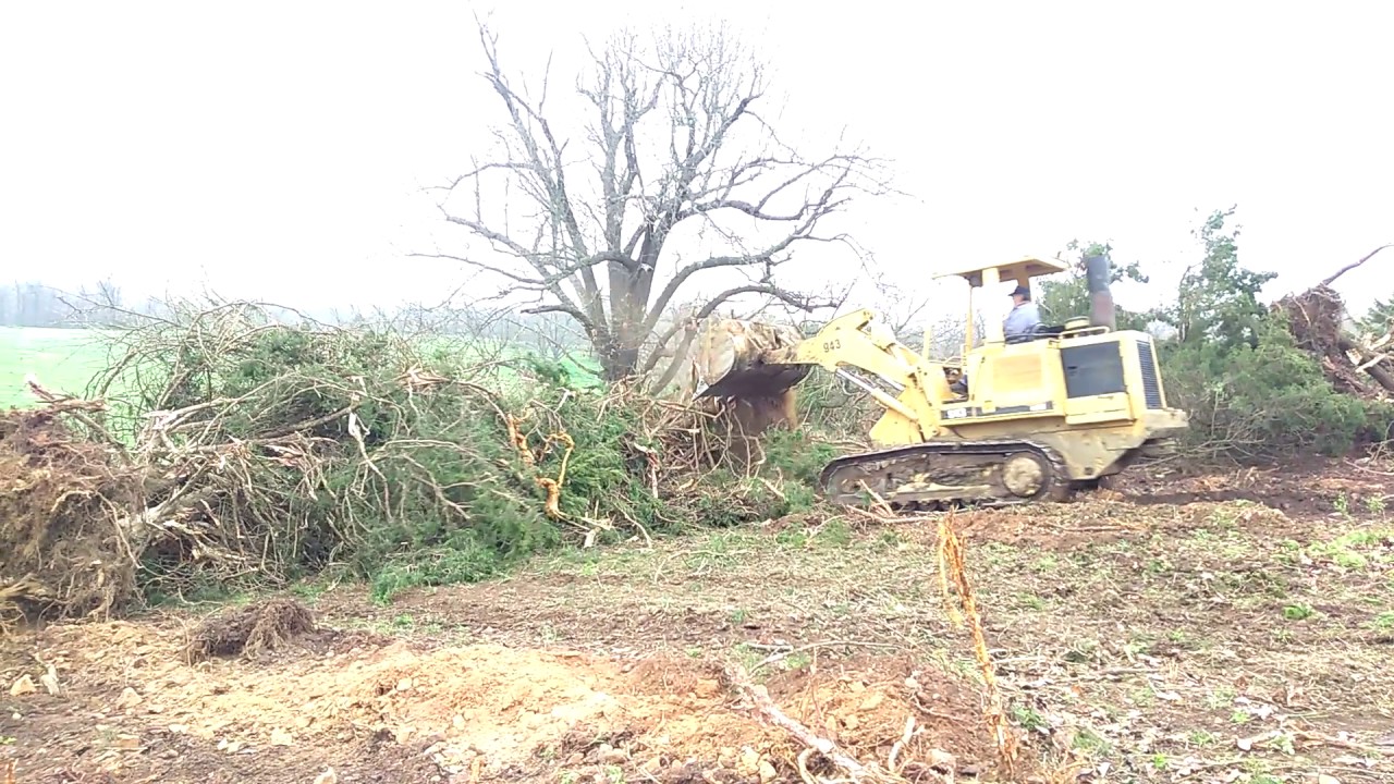 Trimming and Dozing (Pushing) Trees - YouTube