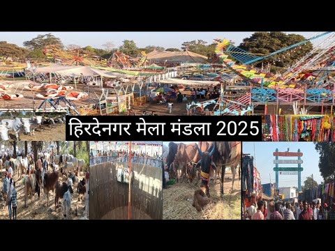 हिरदेनगर मेला मंडला 2025 || Hirdenagar Mela Mandla 2025 || मचलेश्वर ...