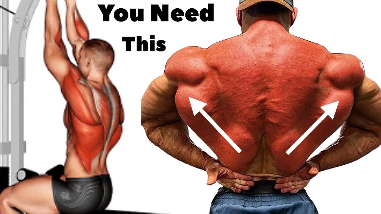Full Bigger Wide Back Workout You Need This - YouTube