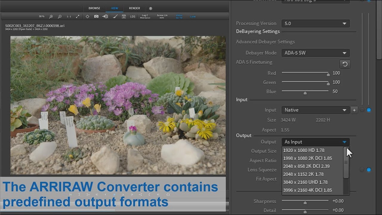ARRI Tech Tip: ARRIRAW Converter - How to define an output resolution ...