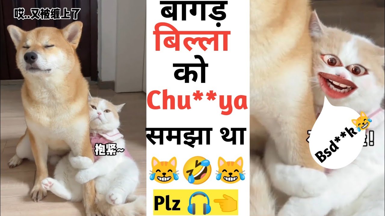 😹Bagad Billa Best Comedy Video Ever//Bagad Billa funny Video # ...