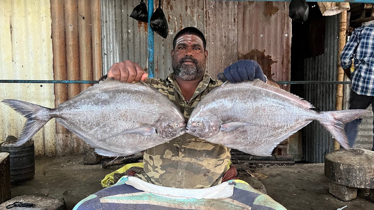 2 BLACK POMFRET (KARUPPU VAVVAL)🐠FISH AMAZING CUTTING BY KASIMEDU ...