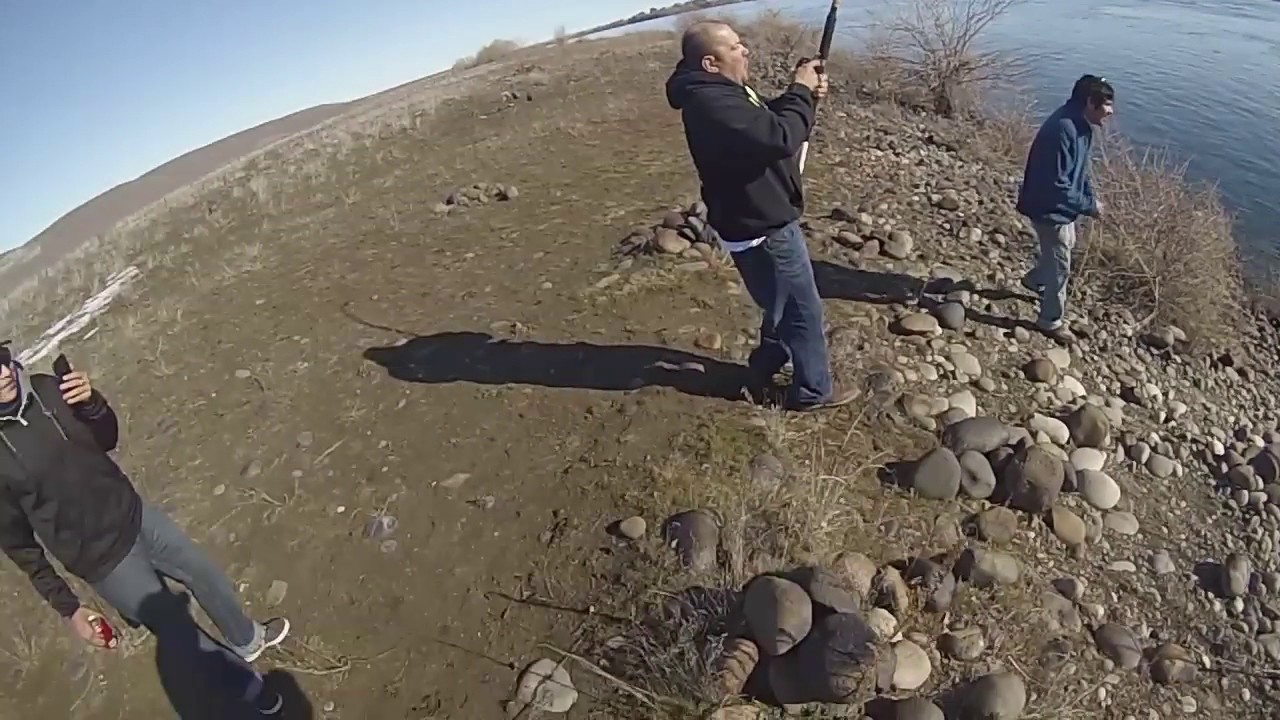 Sturgeon fishing in Washington - YouTube