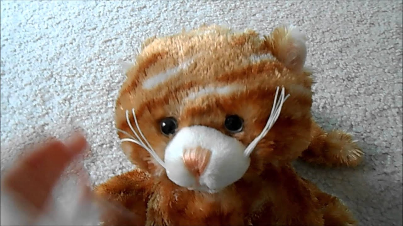 Top 10 Most Recommended Webkinz Cats - YouTube