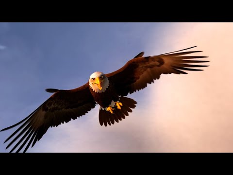 🦅Soaring High! ⛰️ Eagle Adventure Song for Kids | Fun & Educational ...