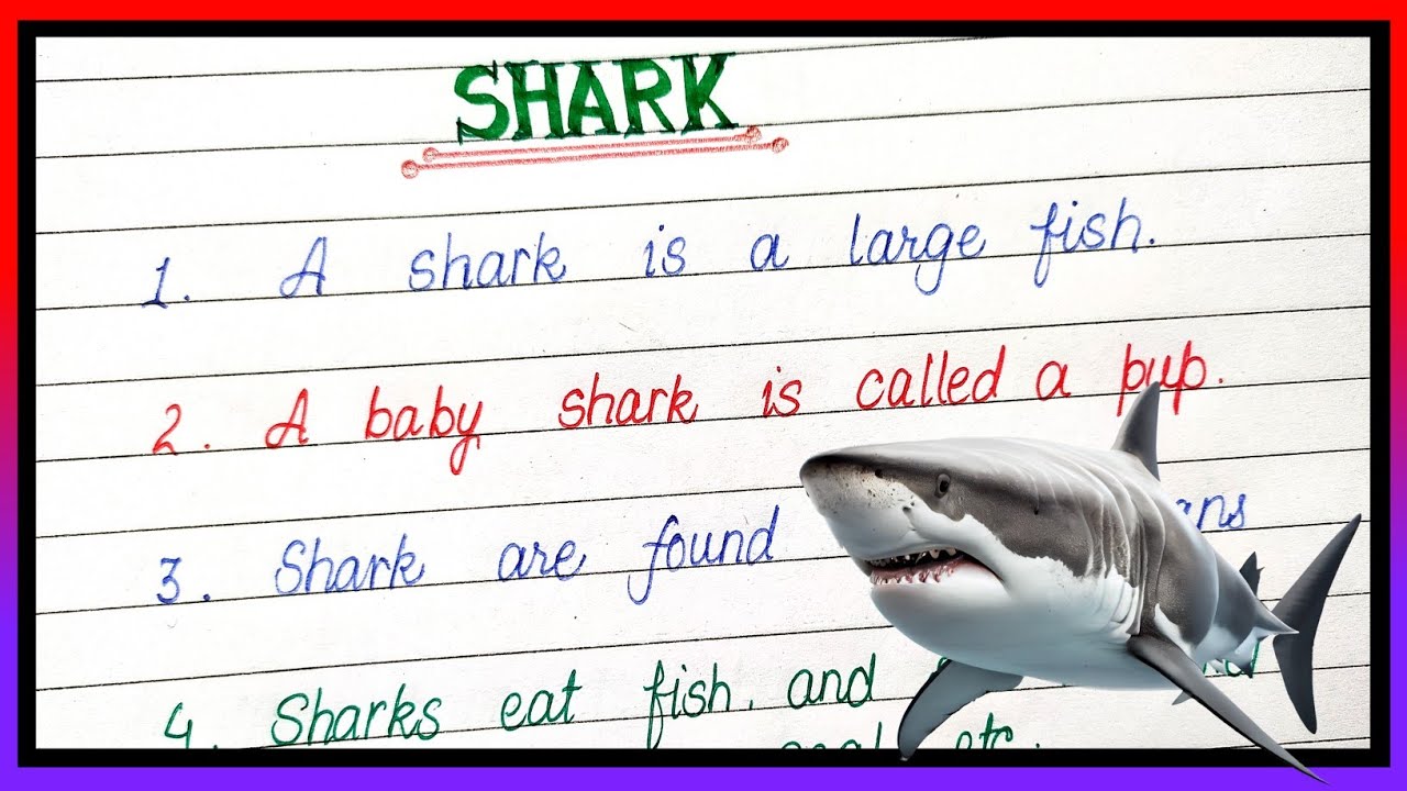 10 lines on Shark in English | Essay on Shark in English | Shark par ...