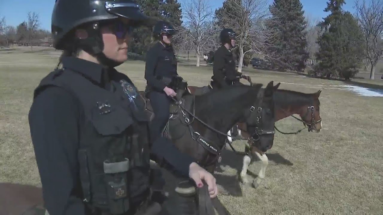 Meet the team staffing Denver Police Department's mounted patrol - YouTube