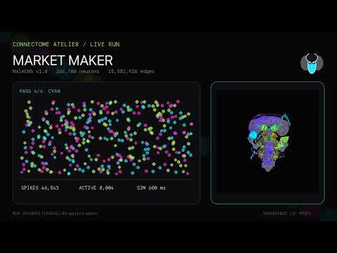 Fruit Fly Designs MARKET MAKER | Palette-Locked MaleCNS Run 04