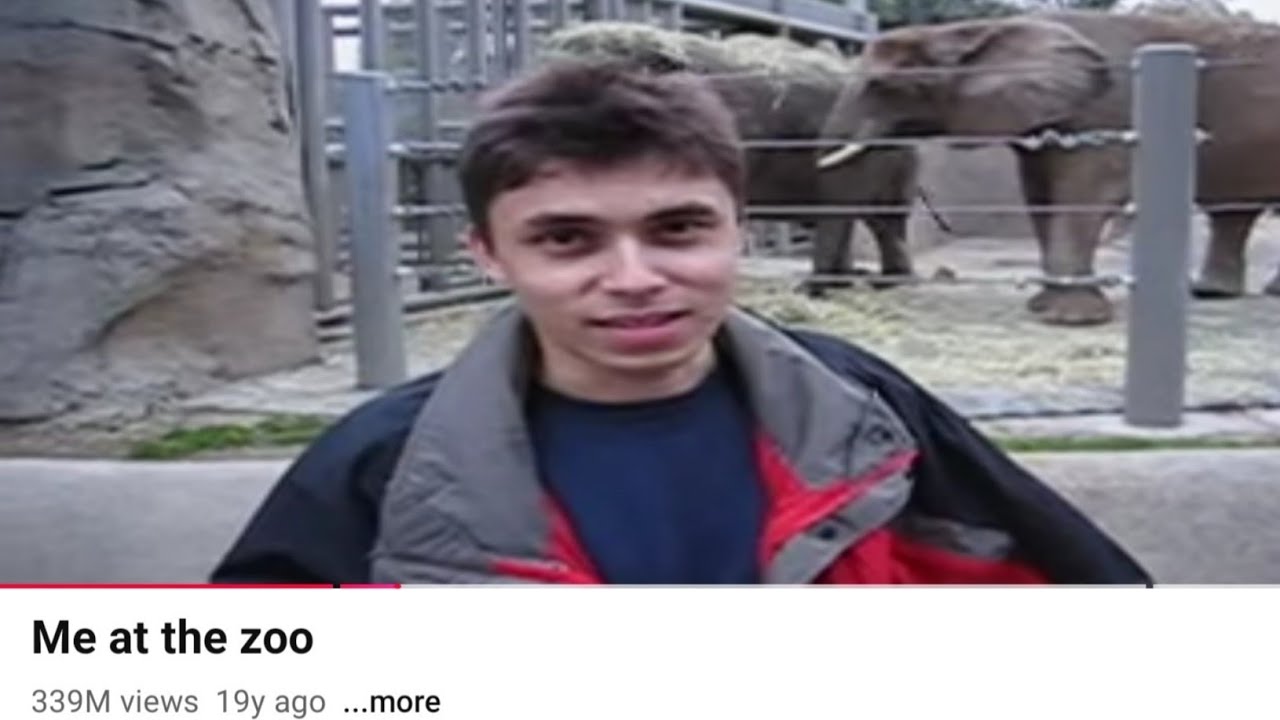 Me at the zoo ( 2005 ) youtube first video by Jawed Karim , Steve Chen ...