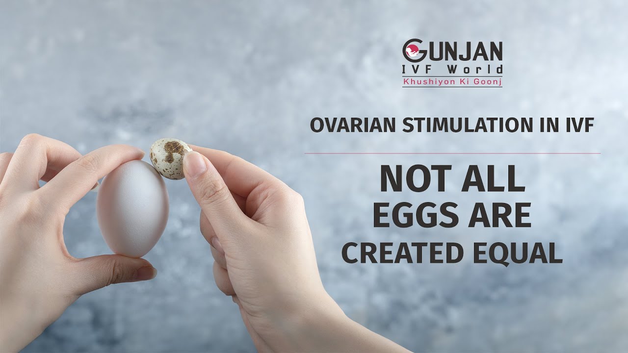 Fertilization Process | Poor Egg Quality in IVF #ivfcenter # ...