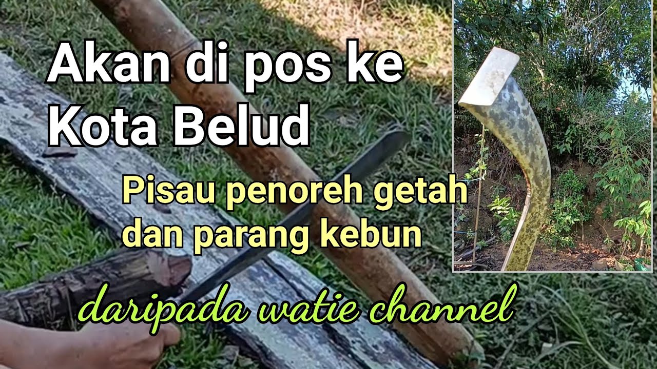 Pisau penoreh getah dan parang menebas daripada watie channel.Akan di ...