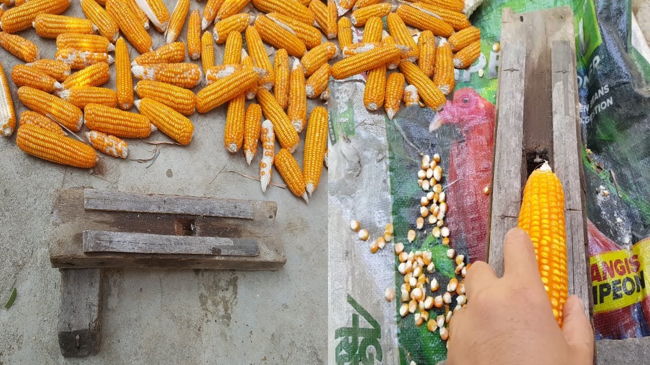 CORN SHELLER DIY - ( The Countryside Way ) - YouTube