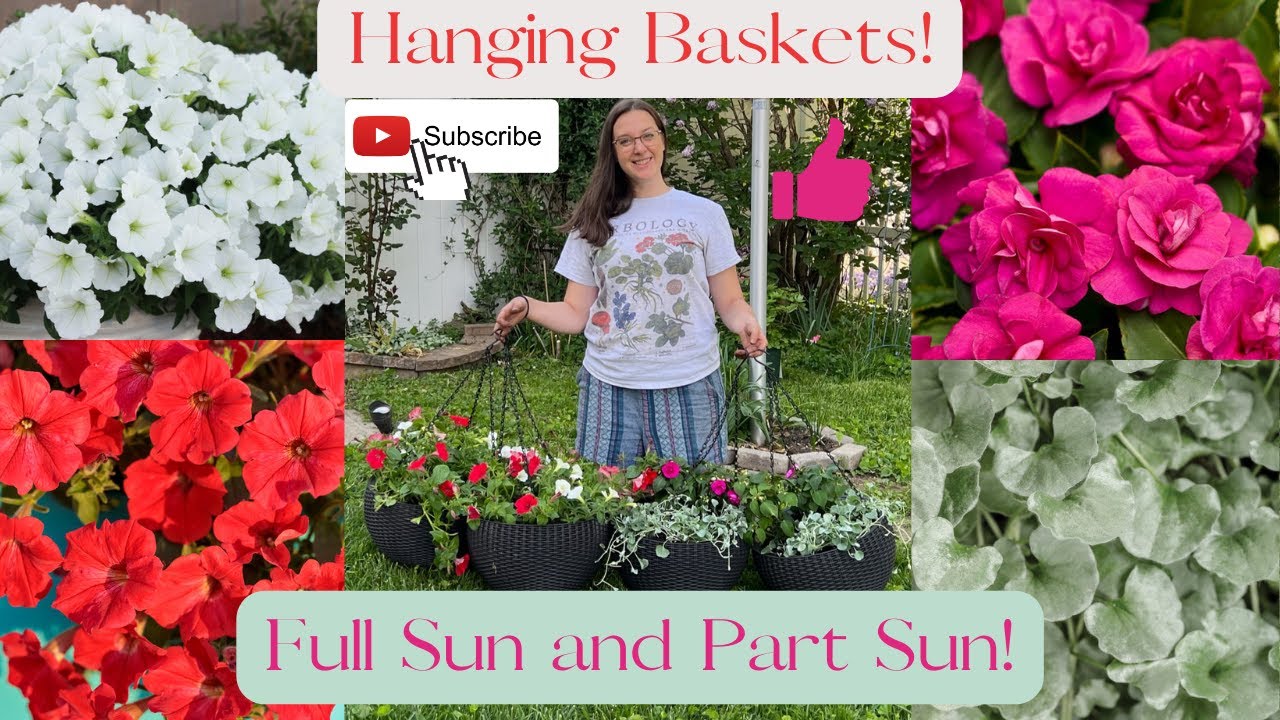 Hanging Baskets: Full Sun and Part Sun!!! - YouTube