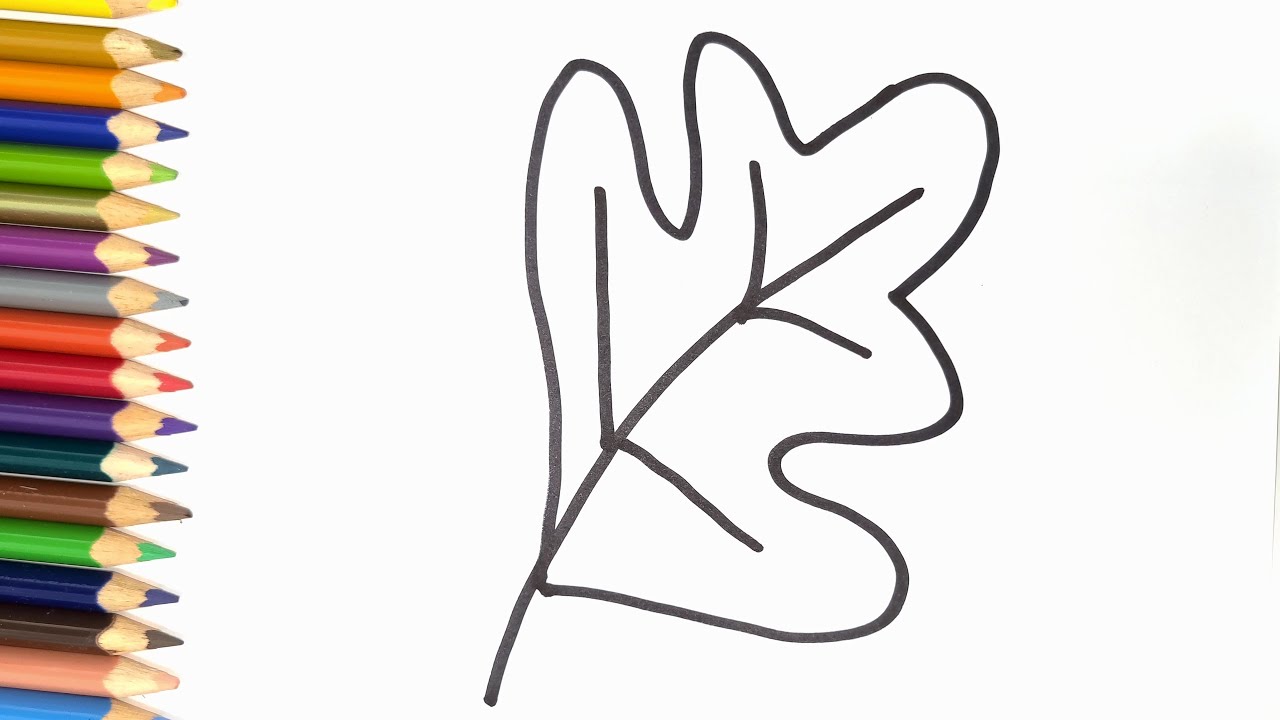 How to draw a Oak leaf - Quick and Easy Drawing - YouTube
