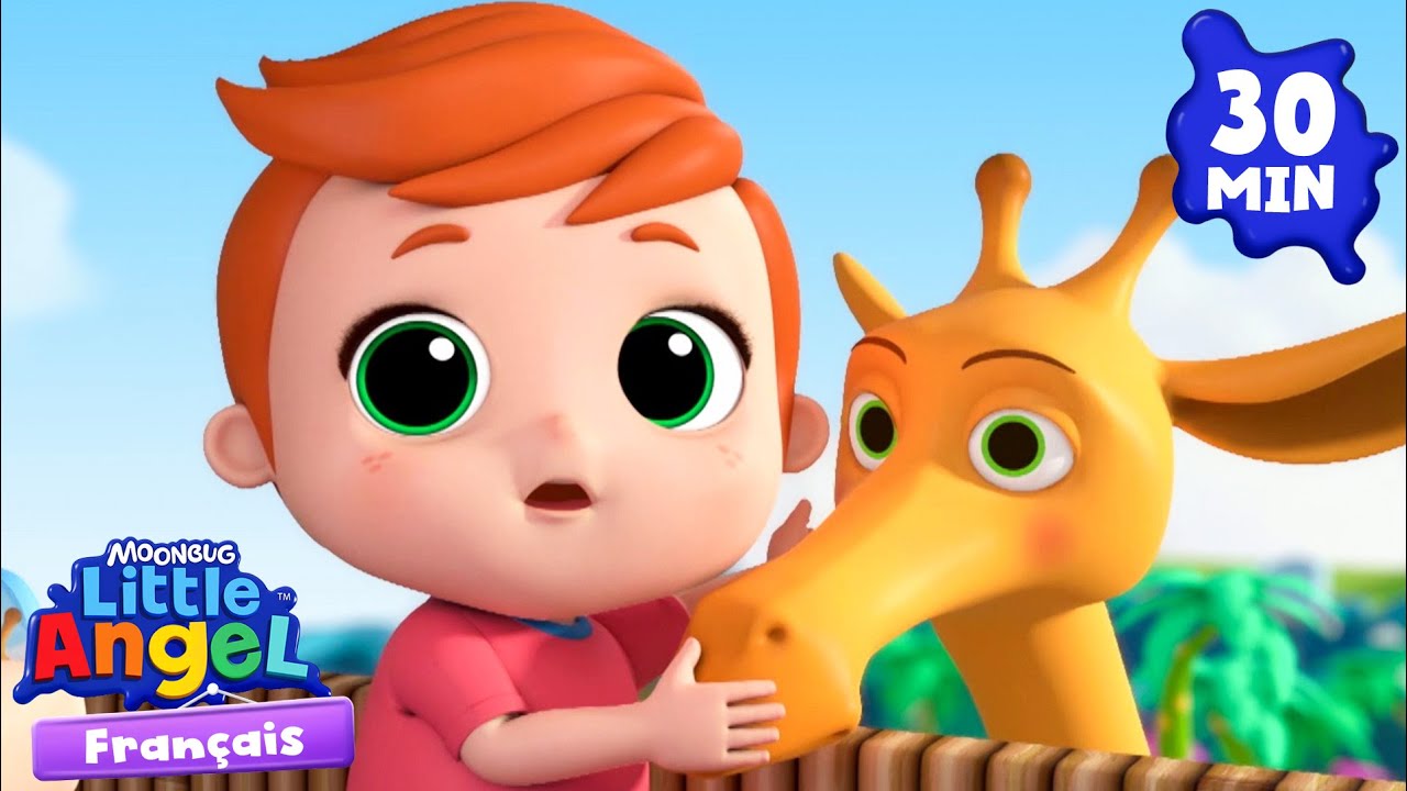La Jungle des Animaux 🦒 | Little Angel | Aventures en Famille - YouTube