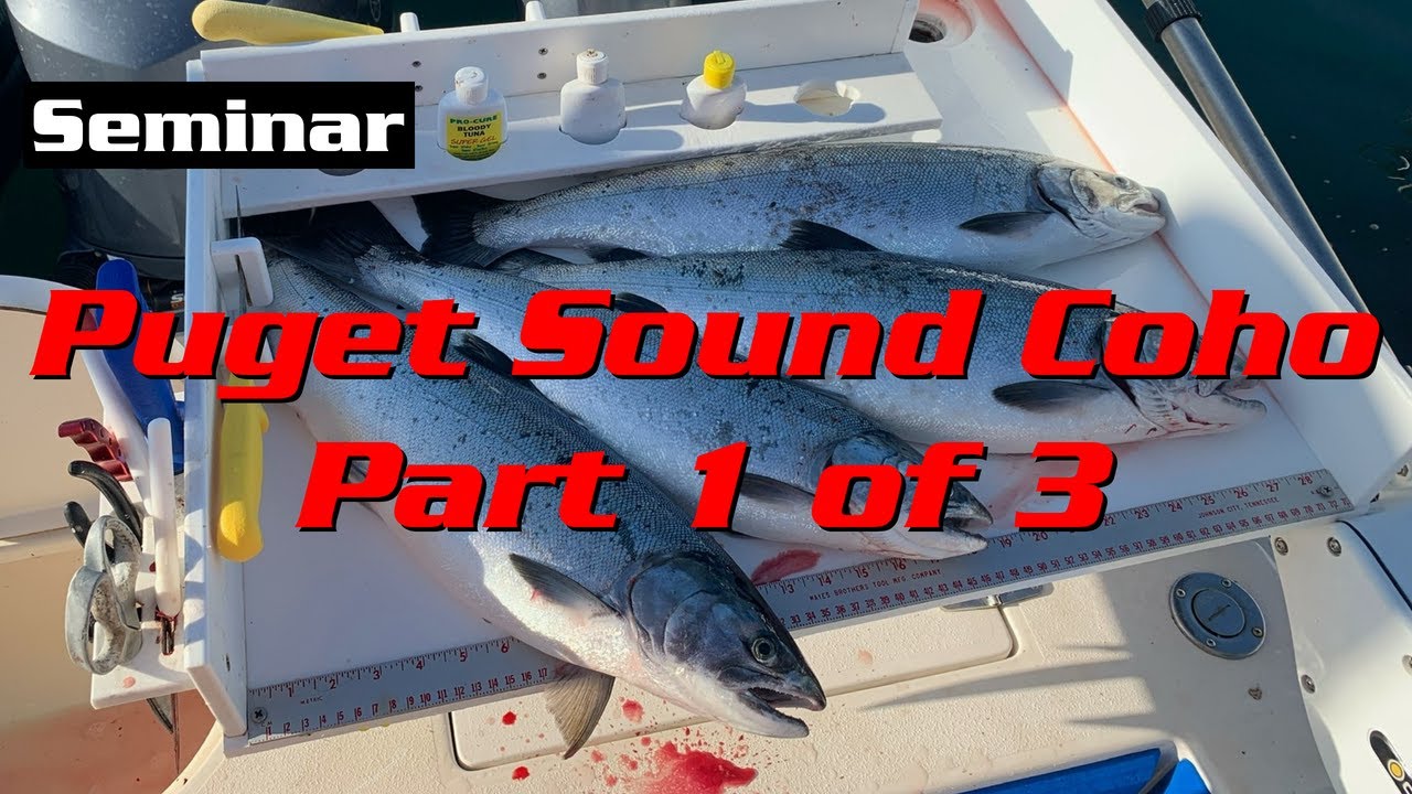 Puget Sound Coho Part 1 of 3 - YouTube