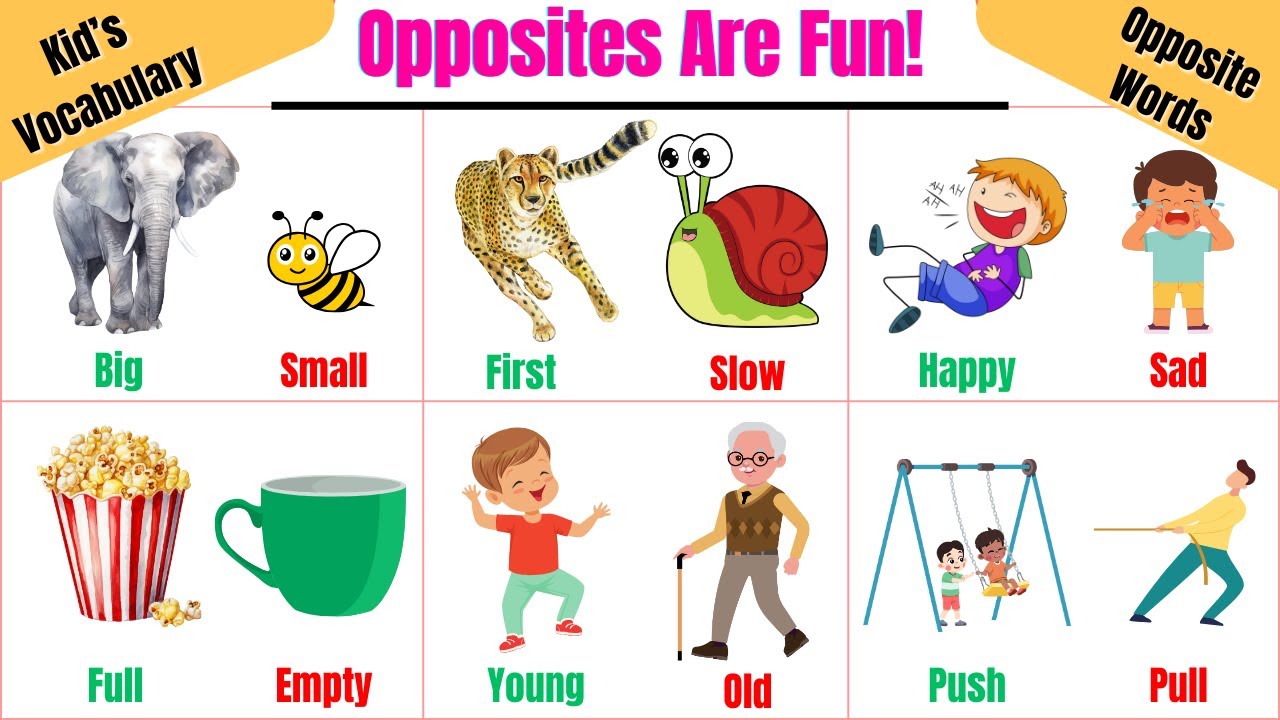 Opposites Are Fun! | Sing Along & Learn Opposite Words for Kids - YouTube