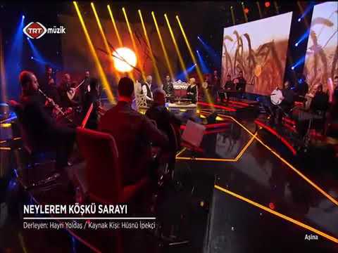 Muzaffer Ertürk    -    Neylerem Köşkü Sarayı (Diyarbakır)