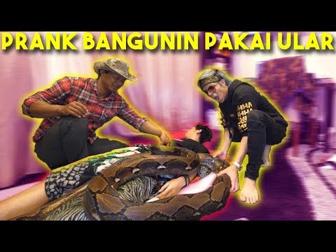 PRANK Bangunin Orang PAKAI ULAR!!
