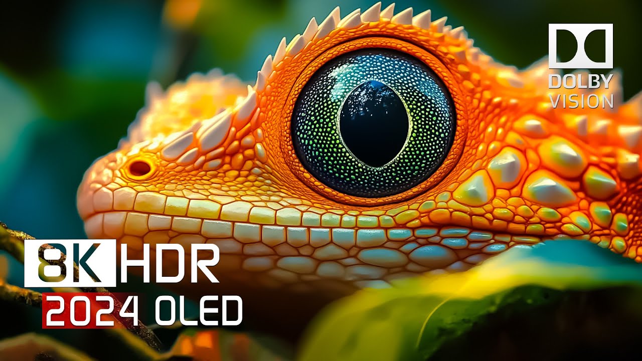 8K HDR 120fps Dolby Vision with Calming Music (Colorfully Dynamic ...