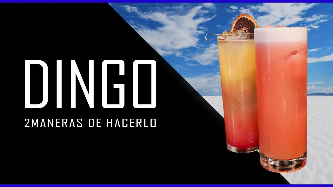 Con y sin coctelera ¿Cómo preparar un DINGO?🔴 - YouTube