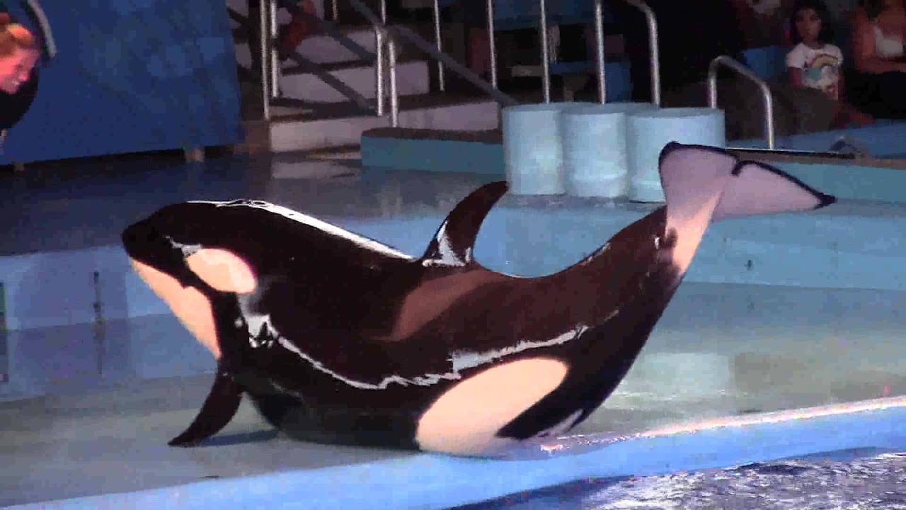 One Ocean - 10.13.2012 - Part 2 - YouTube