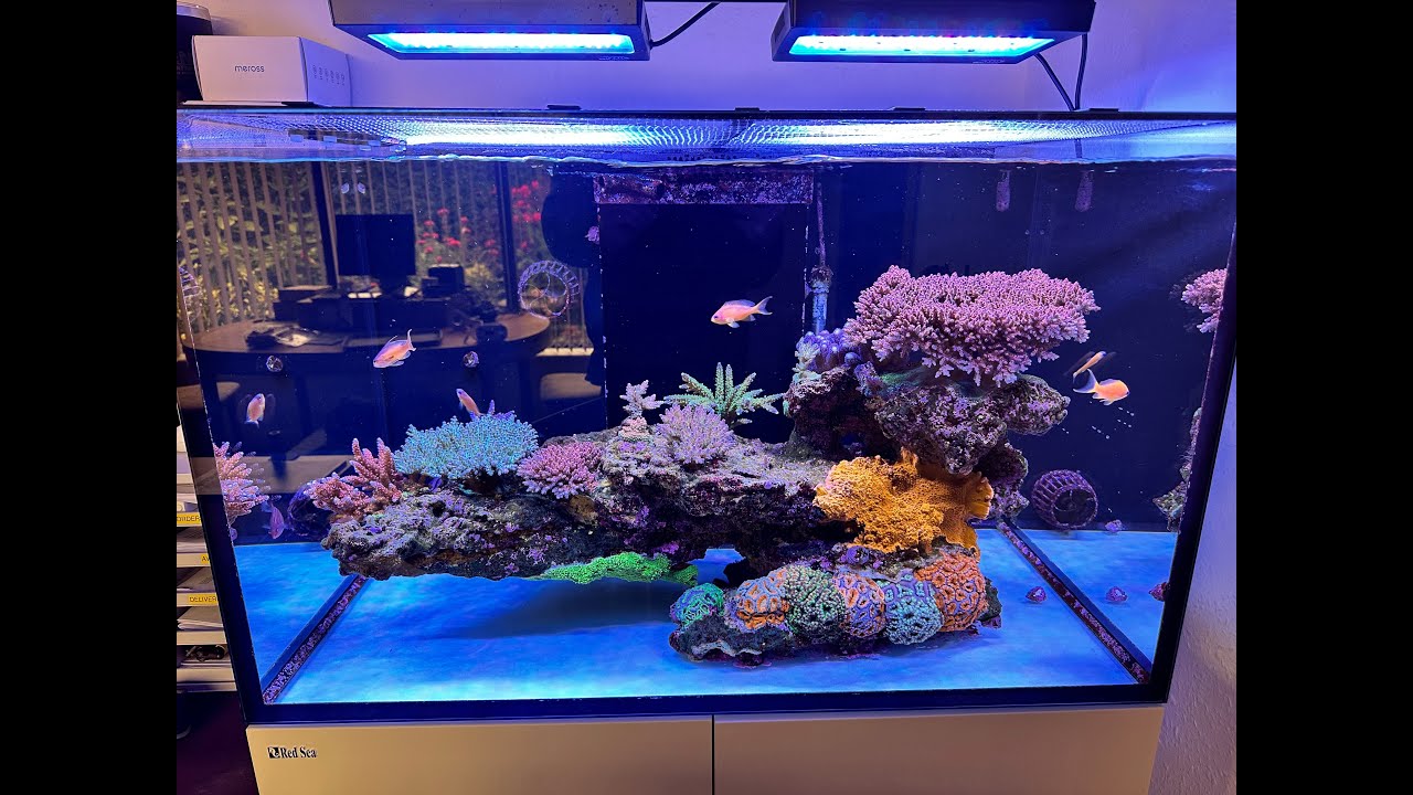 Office Reefer system August 2024 - YouTube