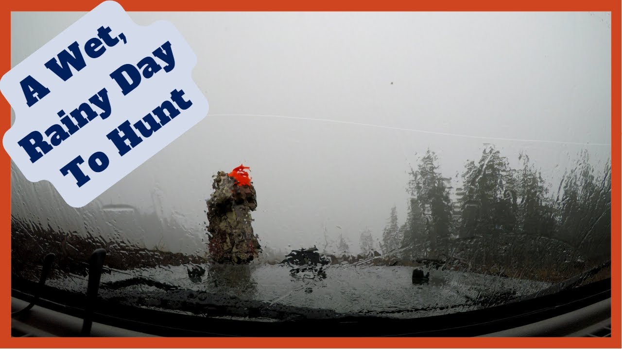 A Wet, Rainy Day to Hunt - Vancouver Island - British Columbia - YouTube