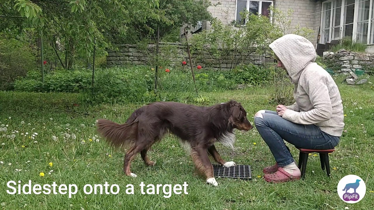 Forward vs sideways motion onto target - YouTube