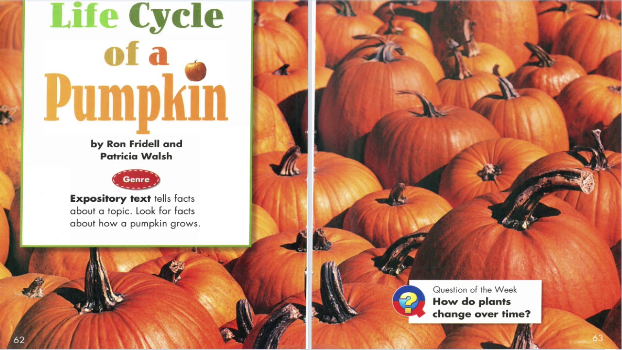 2.2 Life Cycle of a Pumpkin 故事與單字story and words - YouTube