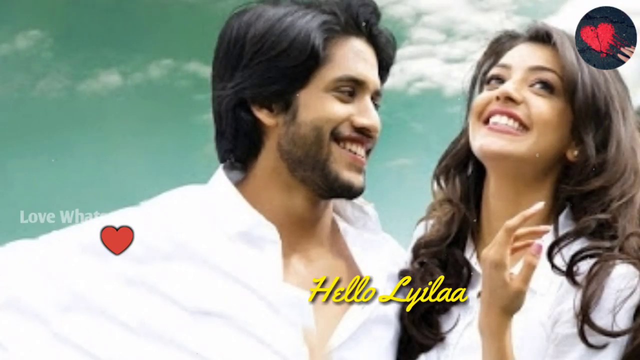 hello hello laila whatsapp status video dhada movie telugu - YouTube