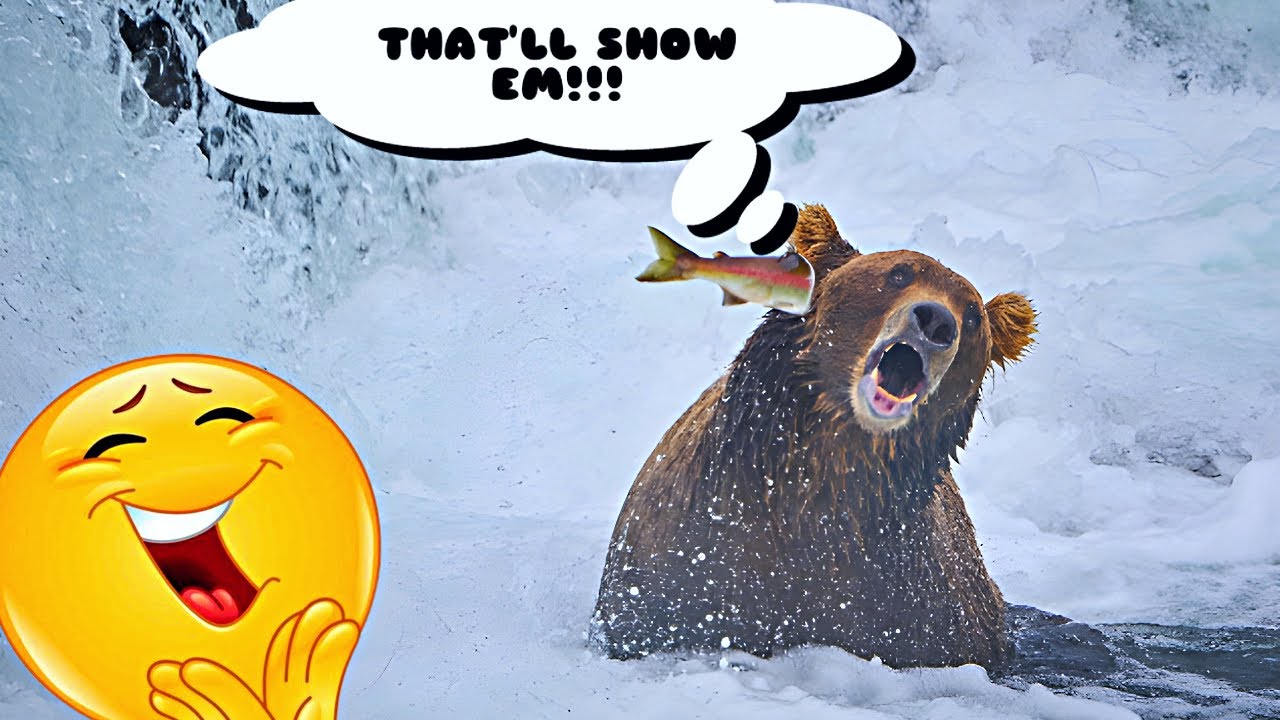 Funny Animal Moments: The Hilarious Compilation You Can't Miss - #1 ...