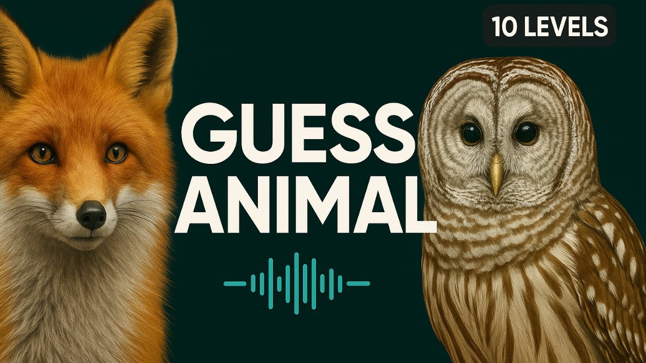 Guess the Animal by Sound (10 Levels) - YouTube