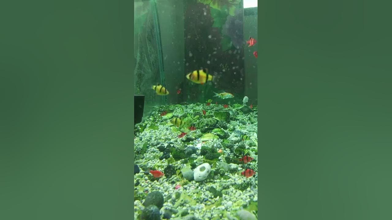 LET US GROW TOGETHER - YouTube