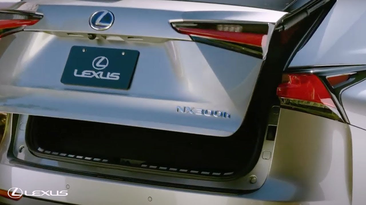 2020 Lexus NX Features with Townsend Bell: Hands-Free Power Back Door ...