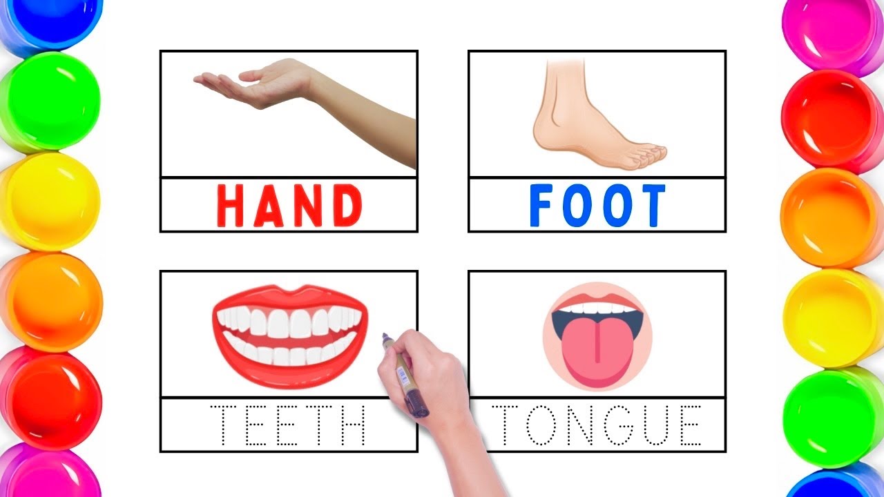 Body Parts Name, Match the body parts to their names, full body parts ...