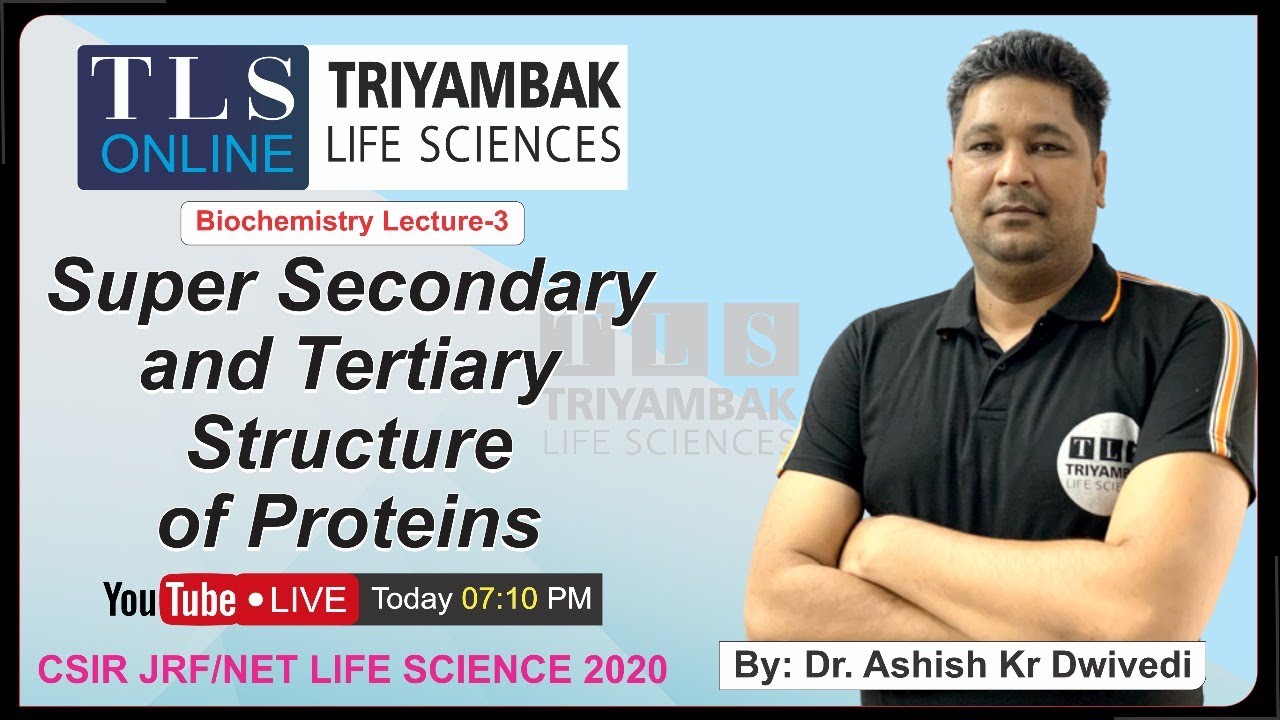 𝐒𝐮𝐩𝐞𝐫 𝐒𝐞𝐜𝐨𝐧𝐝𝐚𝐫𝐲 𝐚𝐧𝐝 𝐓𝐞𝐫𝐭𝐢𝐚𝐫𝐲 𝐒𝐭𝐫𝐮𝐜𝐭𝐮𝐫𝐞 𝐨𝐟 𝐏𝐫𝐨𝐭𝐞𝐢𝐧𝐬 - YouTube