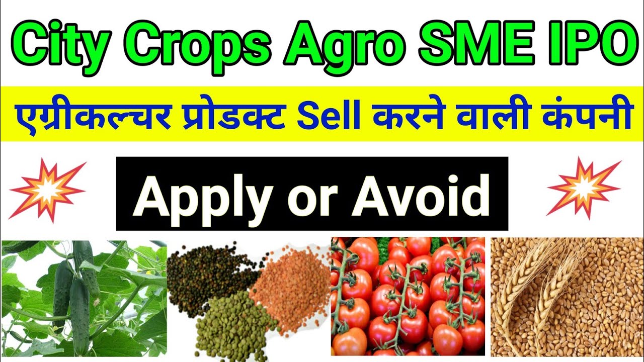 City Crops Agro limited SME IPO full details vedio ।। Company Work, GMP ...