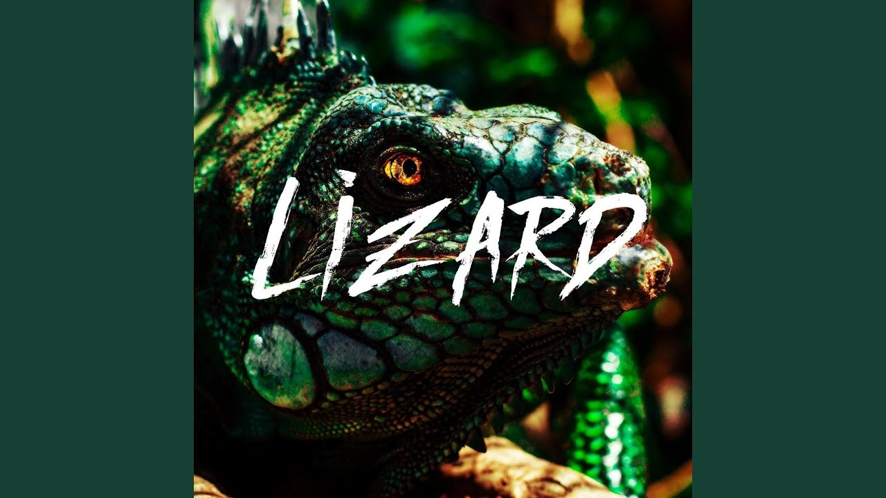 Lizard - YouTube