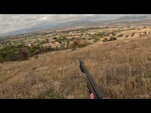 TAVŞAN AVI 2025-2026 SEZON AÇILIŞI #hunting #gopro #rabbit #breda 