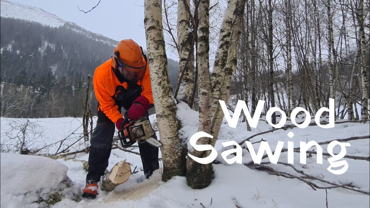 HOGGE VED PÅ VINTEREN | part 2 - YouTube