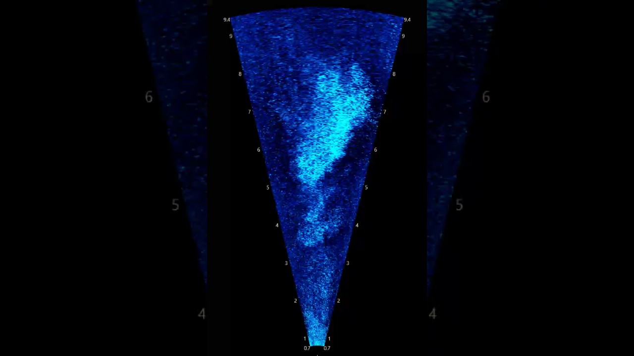 ARIS (Adaptive Resolution Imaging Sonar) video - YouTube