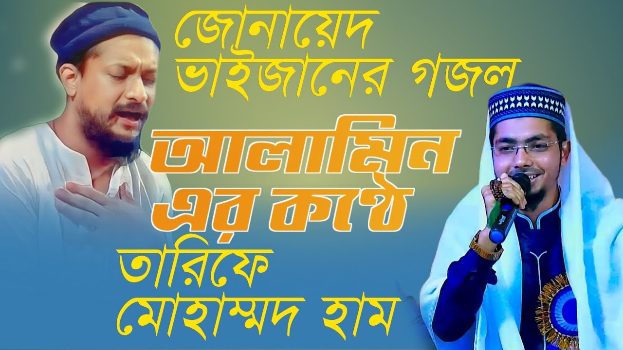 জোনায়েদ সিদ্দিকী হুজুরের গজল এবার আলামীন গাজীর কণ্ঠে। তরিফে মোহাম্মদ হাম।Junayed siddique gojol ...
