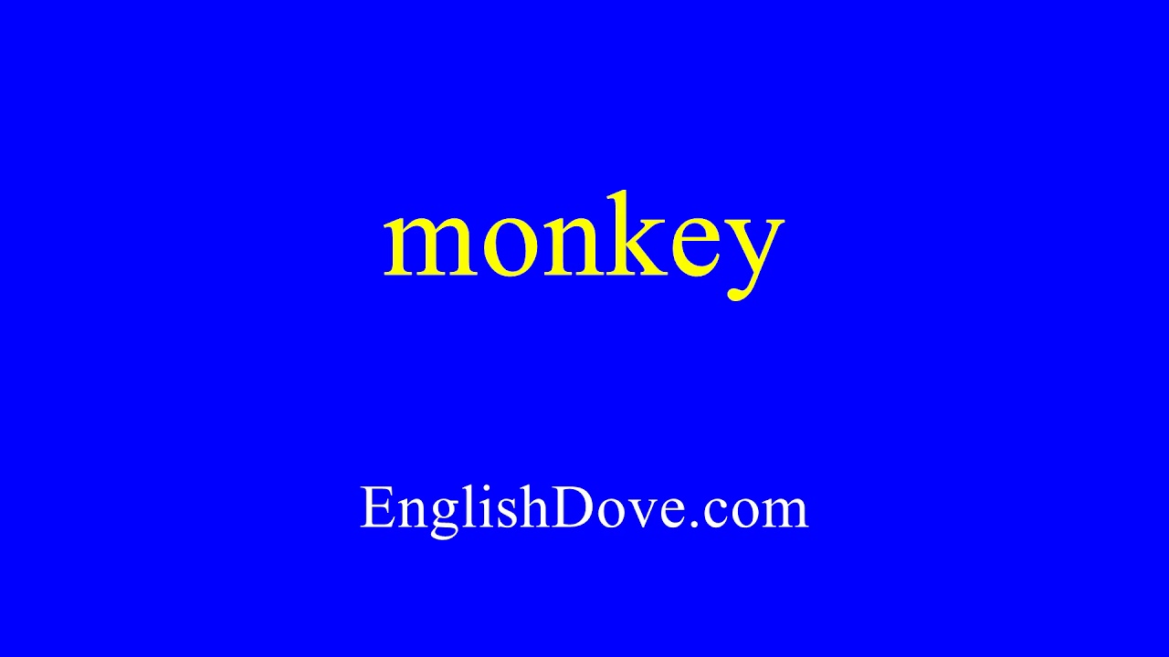How to pronounce monkey in American English. - YouTube