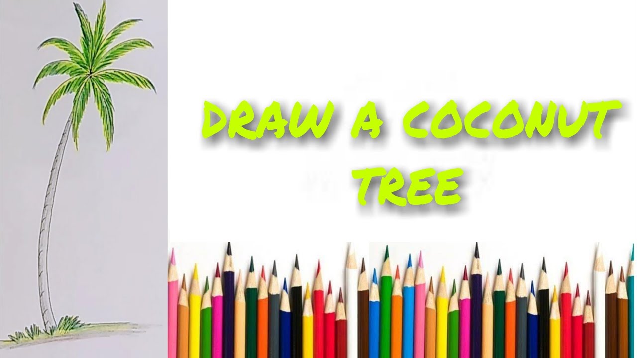 How to draw a coconut tree I Easy coconut tree drawing for kids - YouTube
