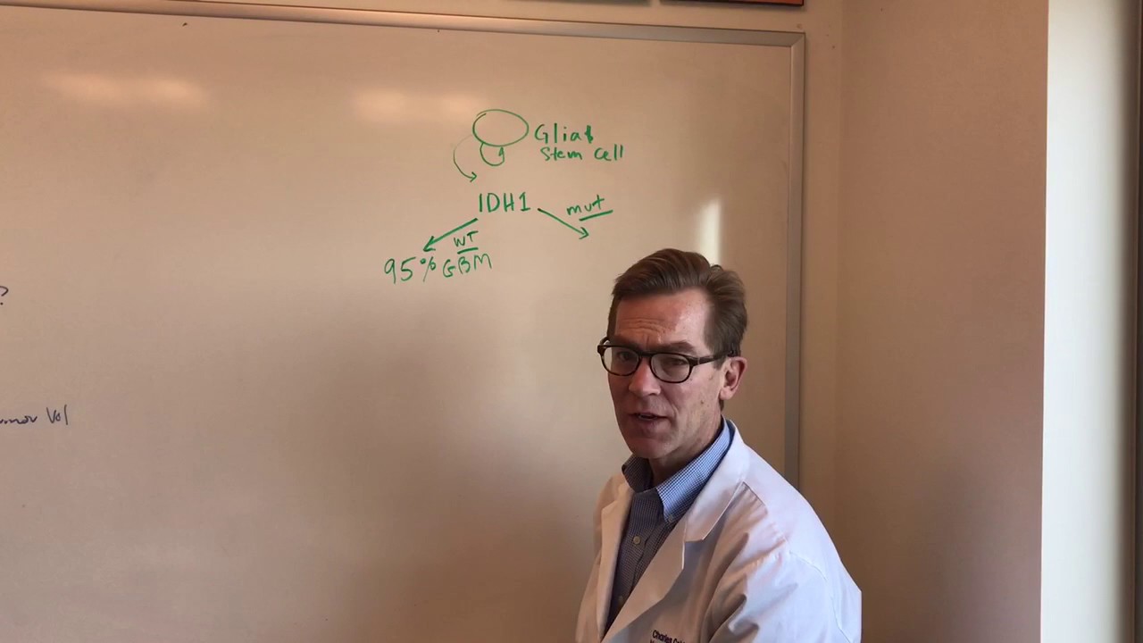 The Role of Neuropathologists and Biomarkers in Brain Tumor Treatment ...
