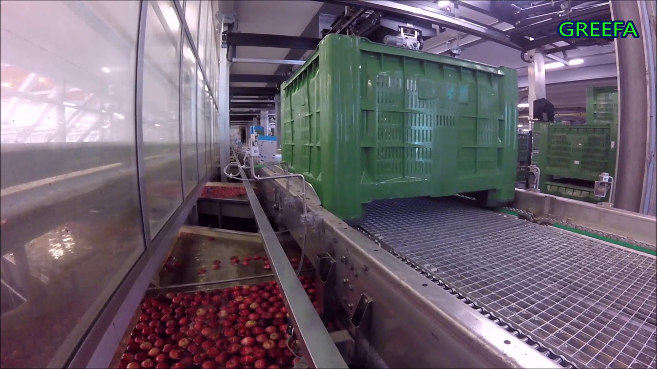 GREEFA Apples Mele Äpfel - Lana Fruit - YouTube