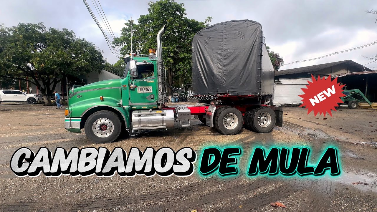 MANEJAMOS NUEVA MULA PARA COMENZAR UN NUEVO VIAJE - YouTube